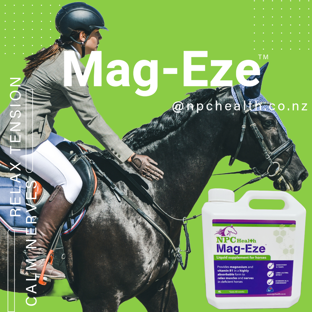 Magnesium For Horses | Top Chelate | Shop Now | NZ Delivery
