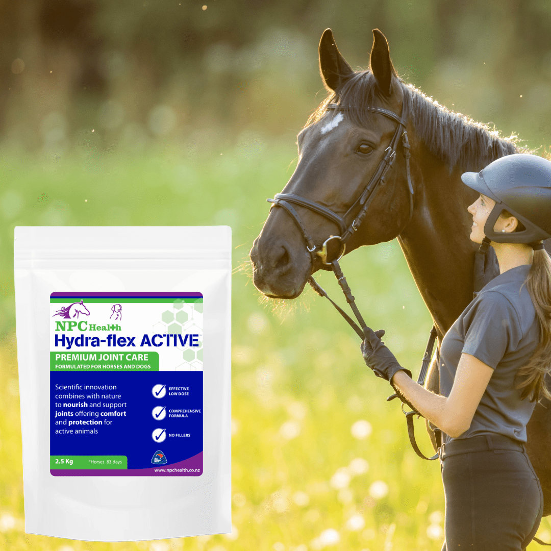 Best Joint Supplement For Horses NZ | Hydra-flex Active