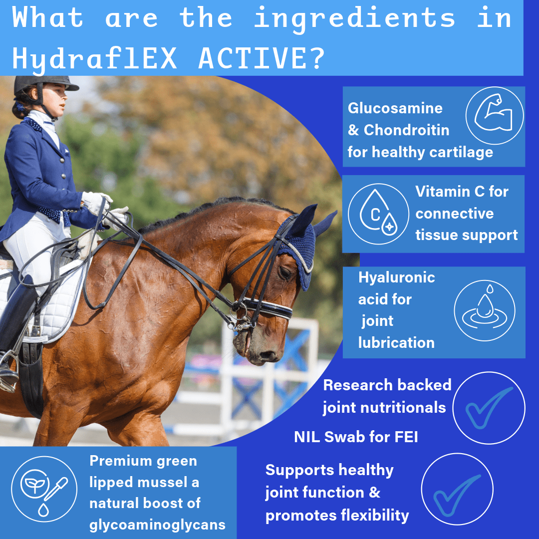 Best Joint Supplement For Horses NZ | Hydra-flex Active