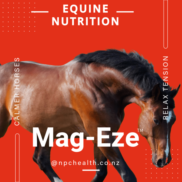 Magnesium For Horses | Top Chelate | Shop Now | NZ Delivery