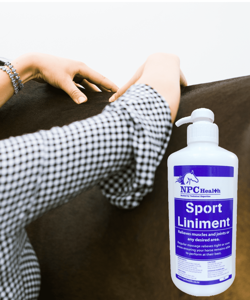 Liniment For Horses | Great For Sore Muscles