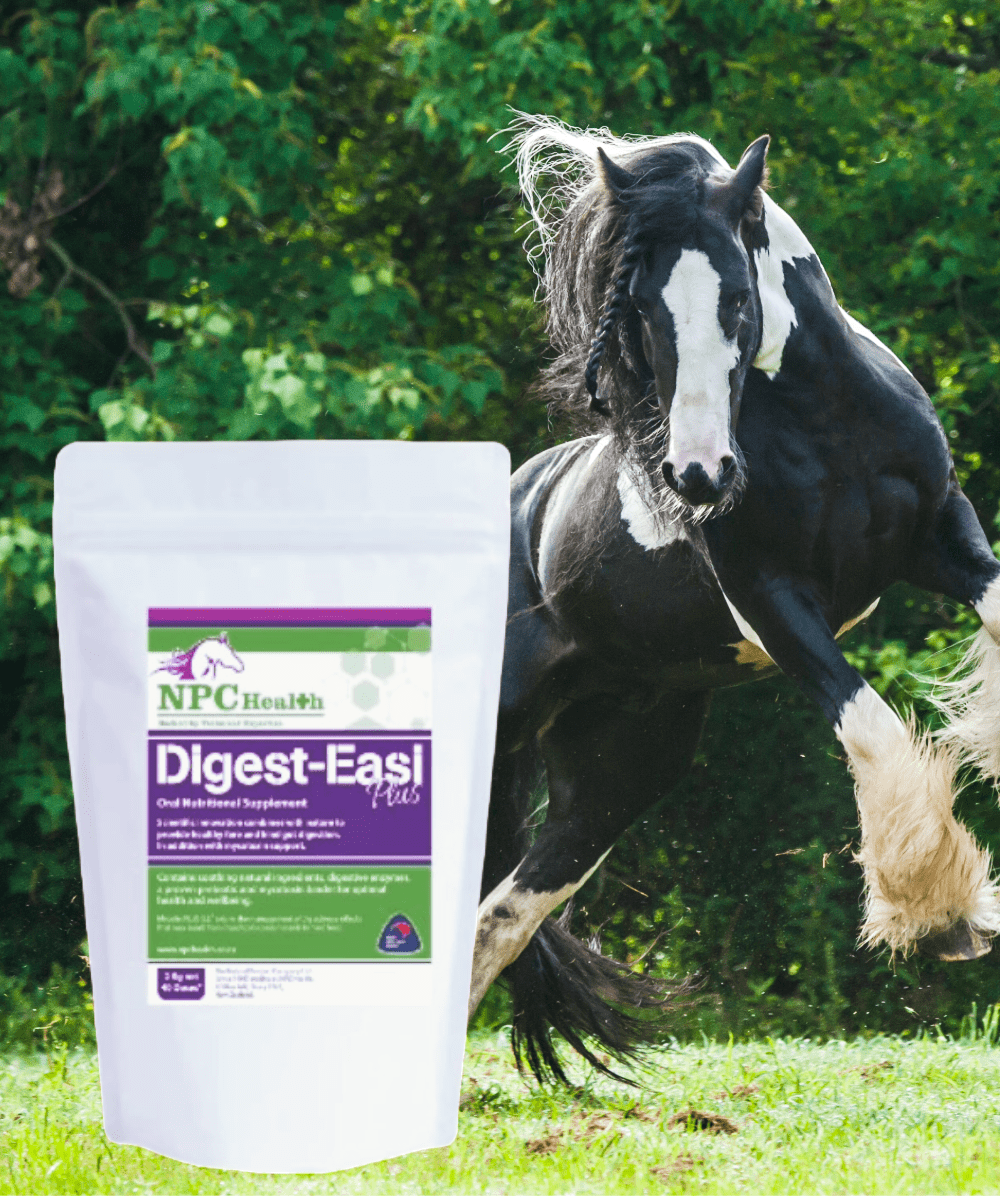 Toxin Binder For Horses | Digestive Equine Aid | Proven | NZ
