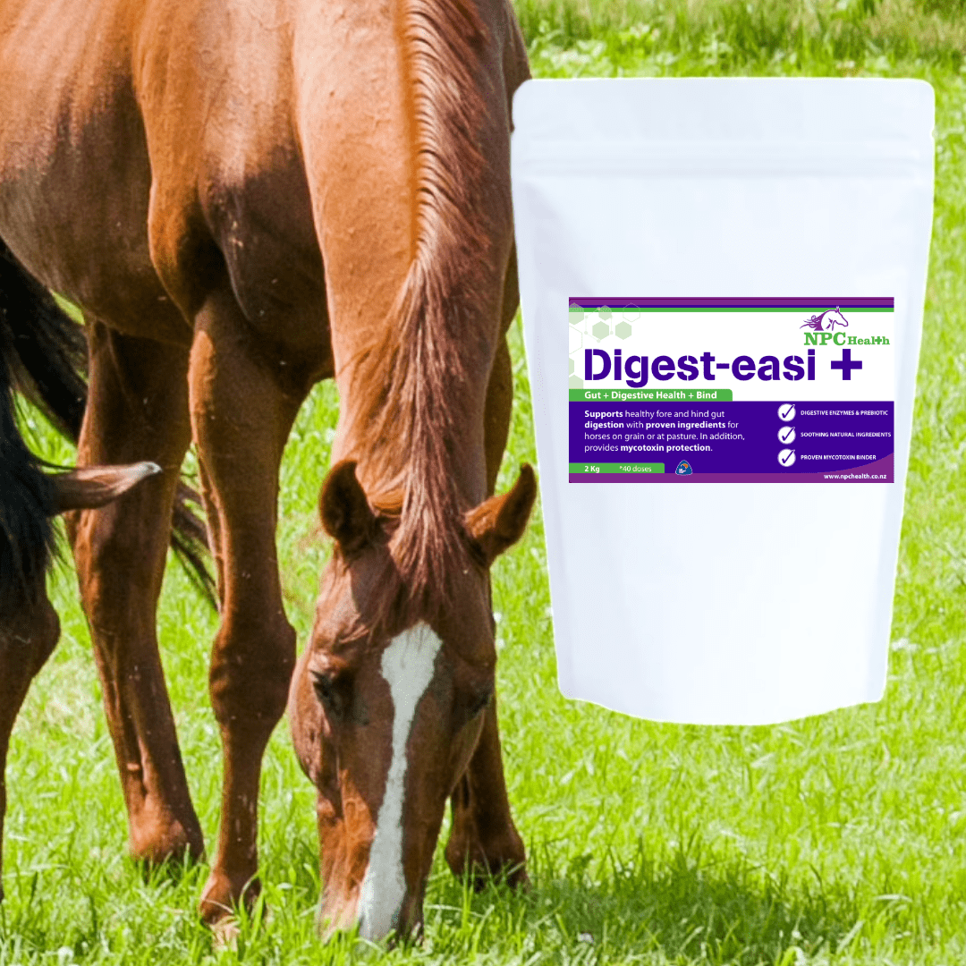Toxin Binder For Horses | Digestive Equine Aid | Proven | NZ