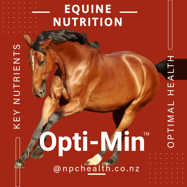 Opti-Min | Best Horse Minerals | Vitamins | Horse Supplements NZ