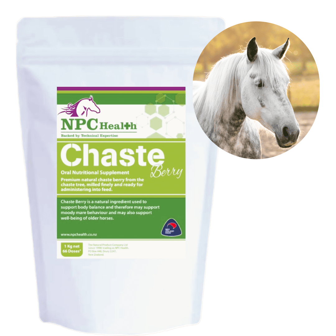 Chaste Berry For Horses | Benefits For Health And Mood
